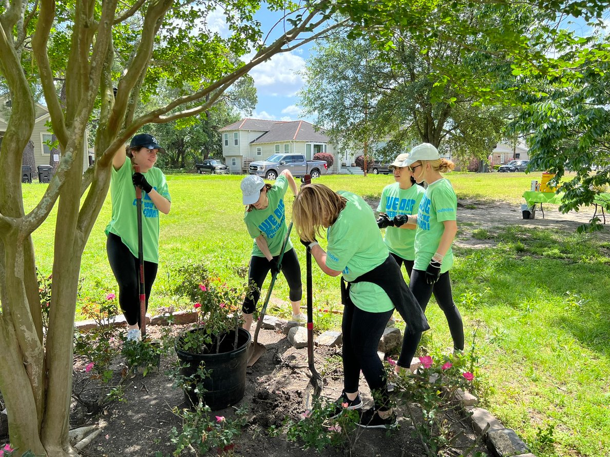 OutSolve Partners With NOLA Tree Project | OutSolve Blog