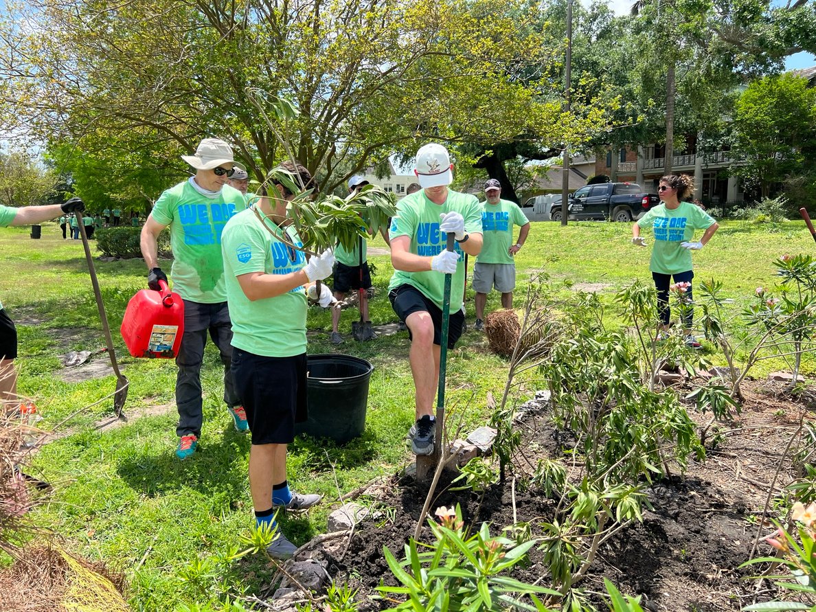 OutSolve Partners With NOLA Tree Project | OutSolve Blog